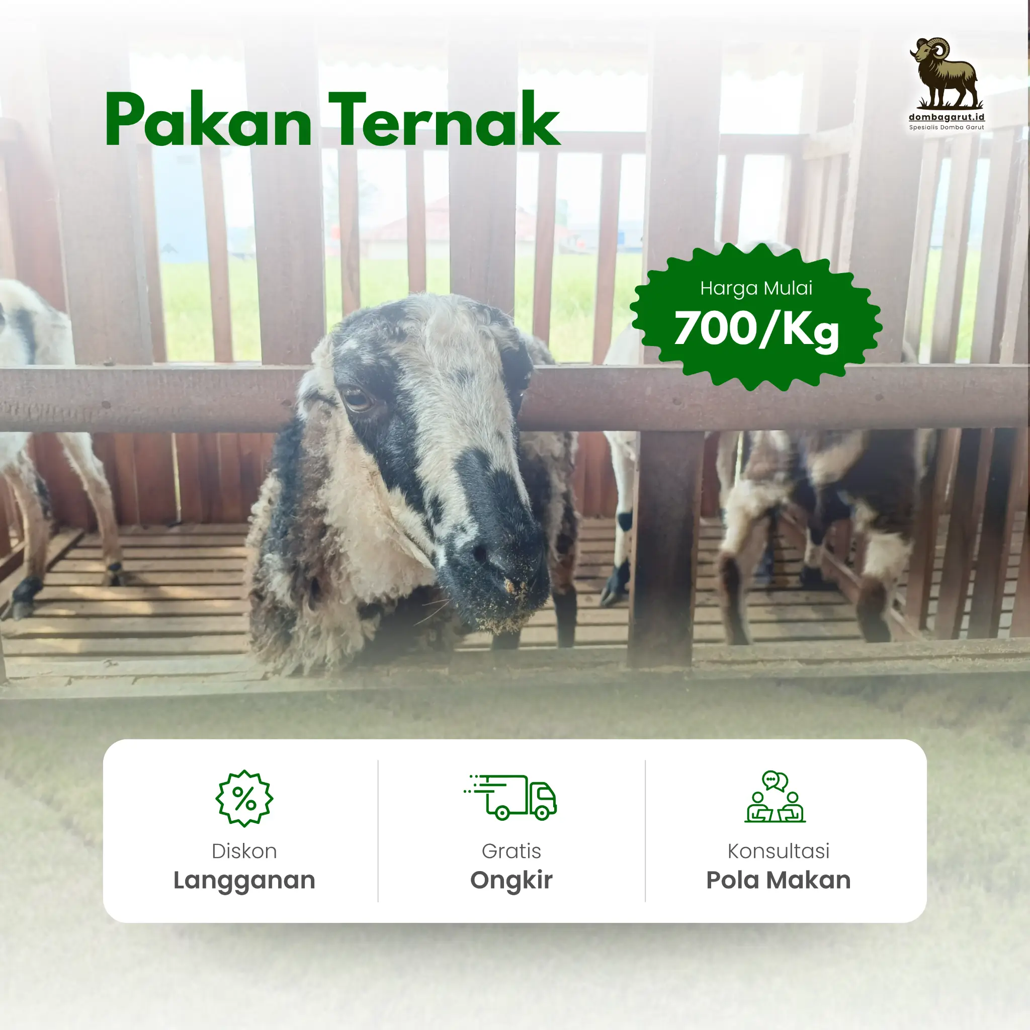 Pakan Ternak - Peternakan Domba Garut ID - Jual Bibit Domba Garut ...
